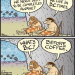 75 Funny Coffee Memes To Brighten Up Your Day