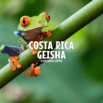 5 Sweetest Coffee Beans (Naturally Sweet Coffee)