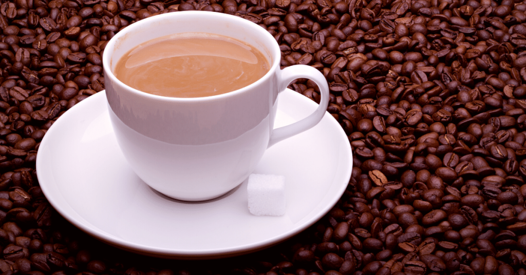 Siphon Coffee Brewing: The Complete Guide To Vacuum Brewing