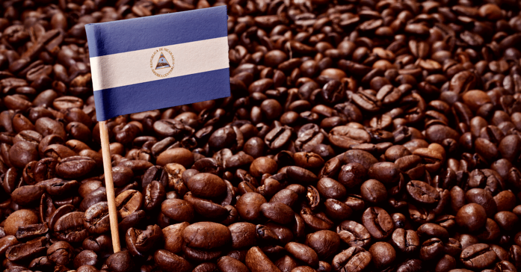 Best Colombian Coffee: 15 Best Brands In 2026